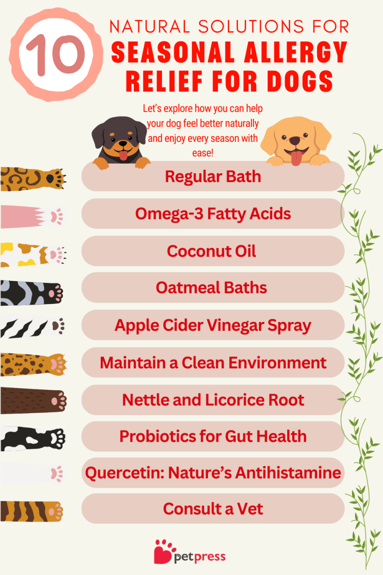 Top 10 Natural Solutions for Seasonal Allergy Relief for Dogs - PetPress