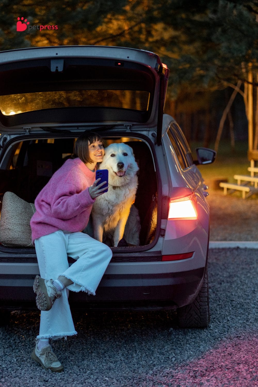 Ultimate Travel Kit for Your Pet: 5 Must-Have Items - PetPress