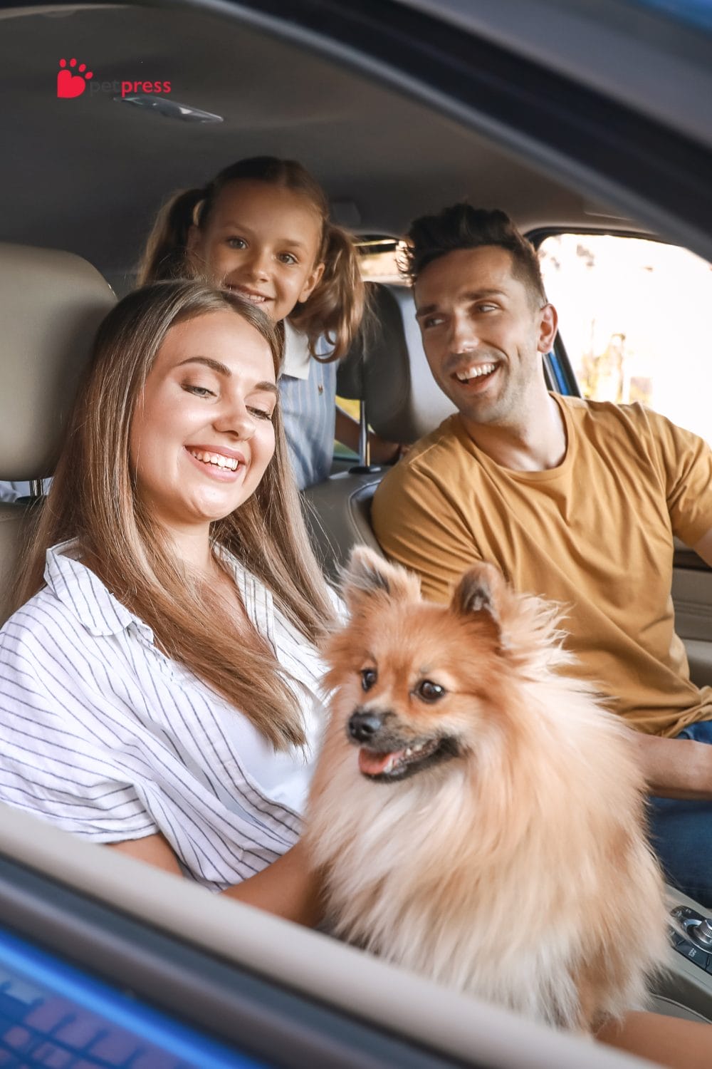 Ultimate Travel Kit for Your Pet: 5 Must-Have Items - PetPress