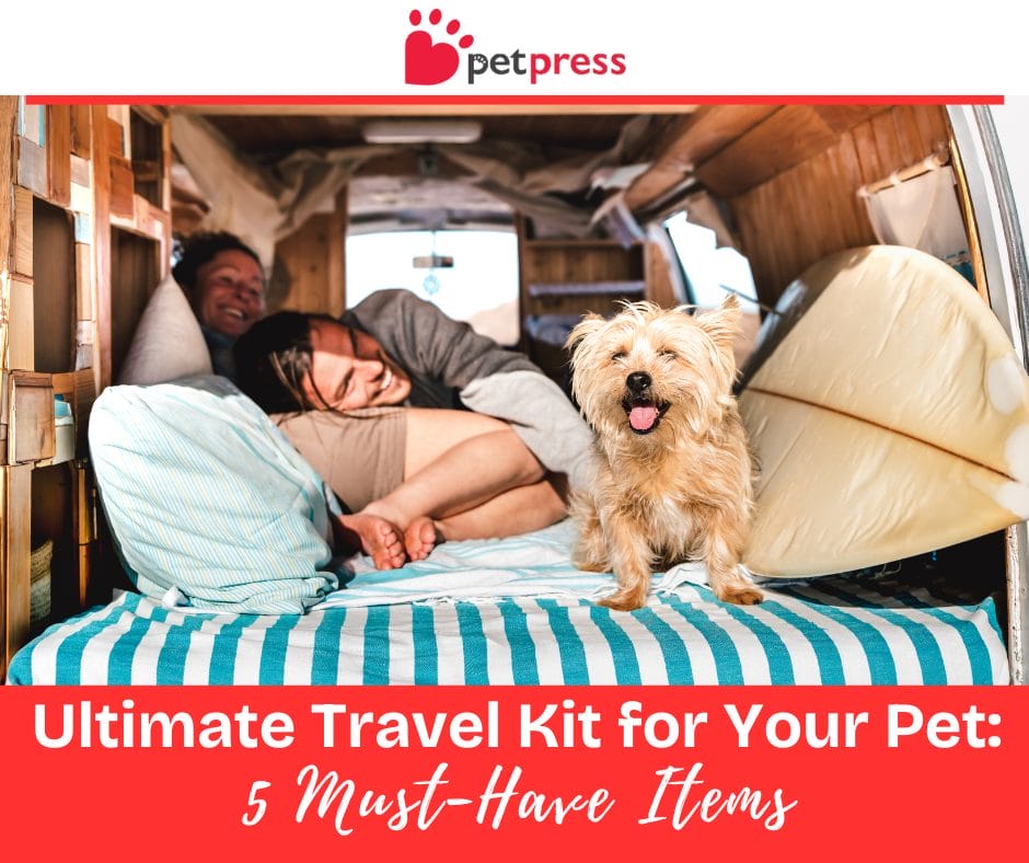 Ultimate Travel Kit for Your Pet: 5 Must-Have Items - PetPress