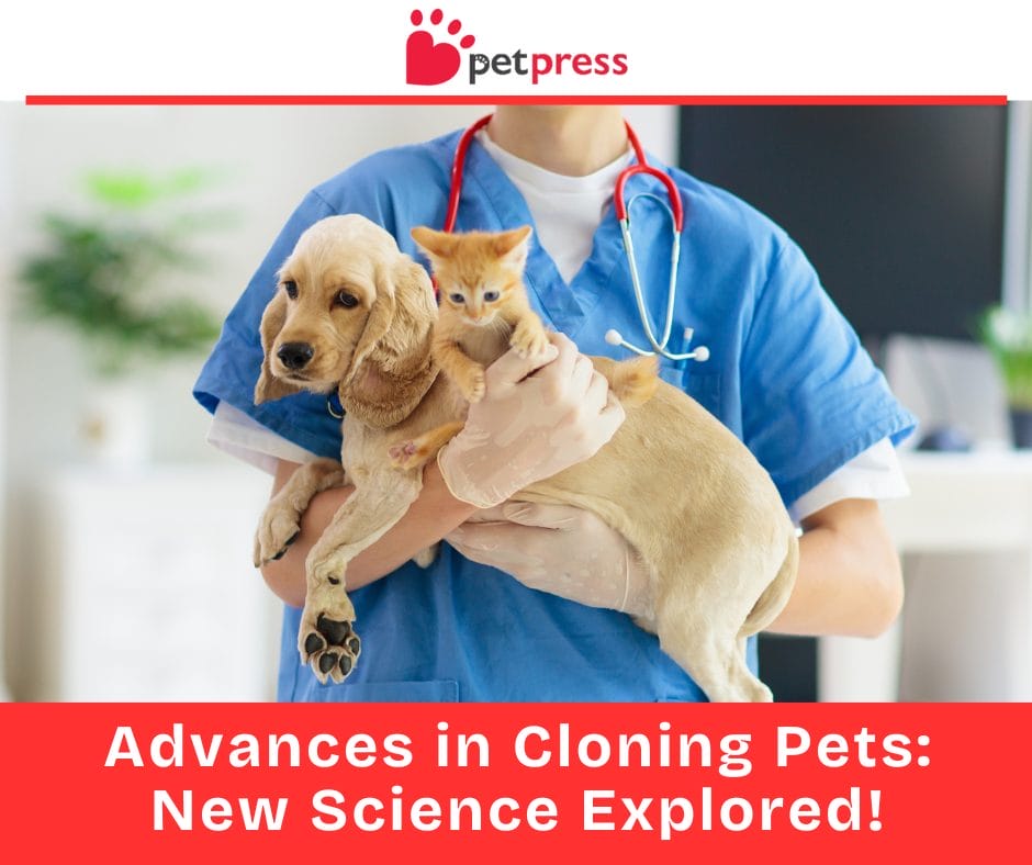 Advances in Cloning Pets: New Science Explored! - PetPress