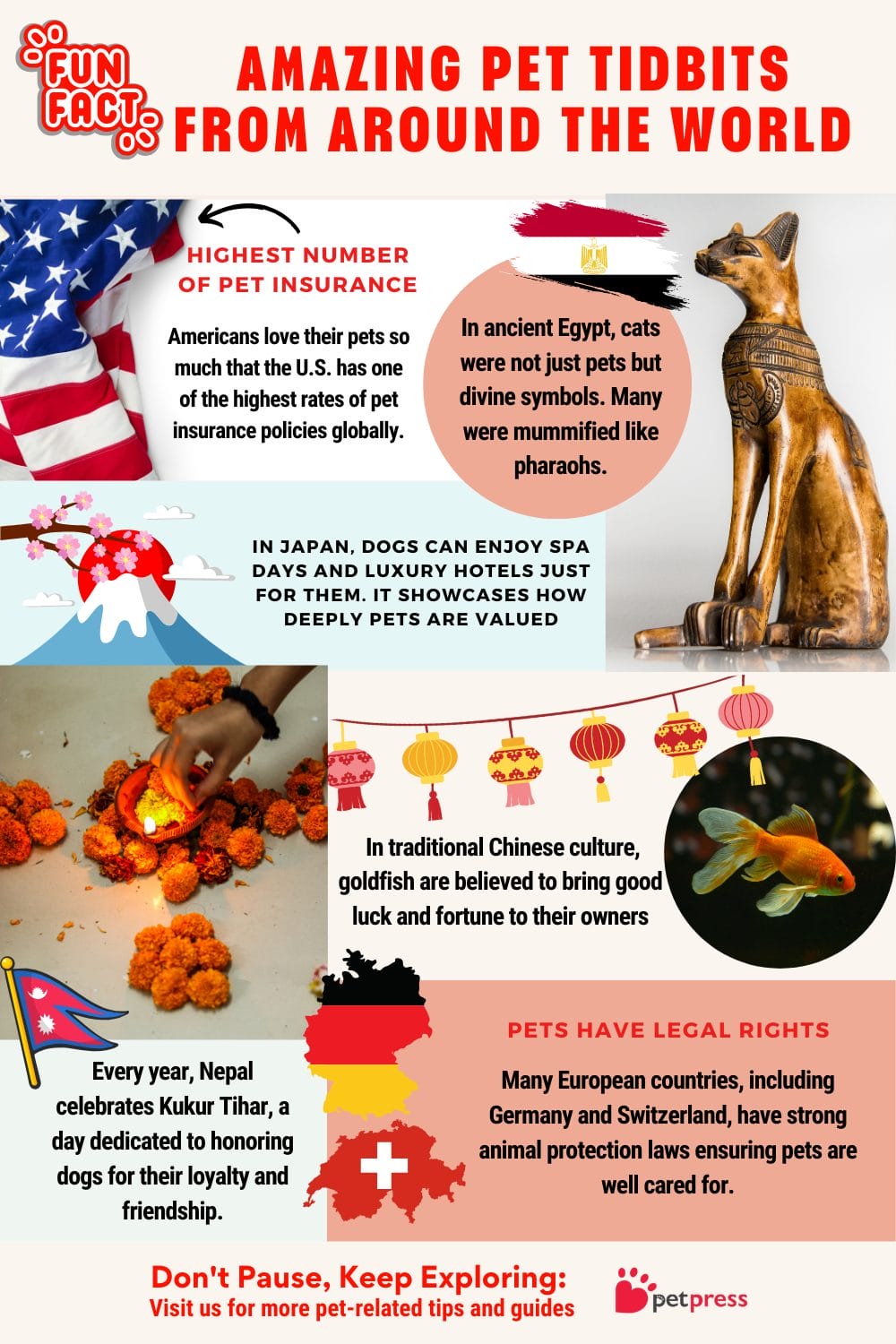 Cultural Attitudes Towards Pets: How the World Feels? - PetPress