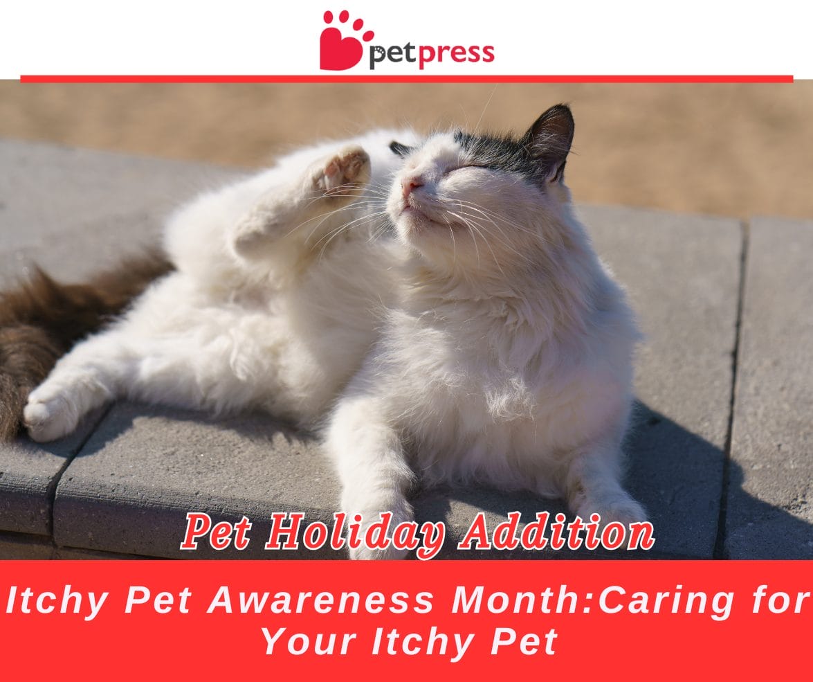 Itchy Pet Awareness Month: Caring for Your Itchy Pet - PetPress