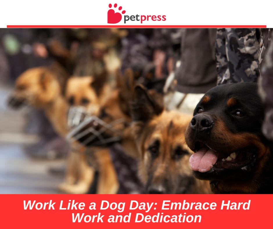 Work Like a Dog Day: Embrace Hard Work and Dedication - PetPress