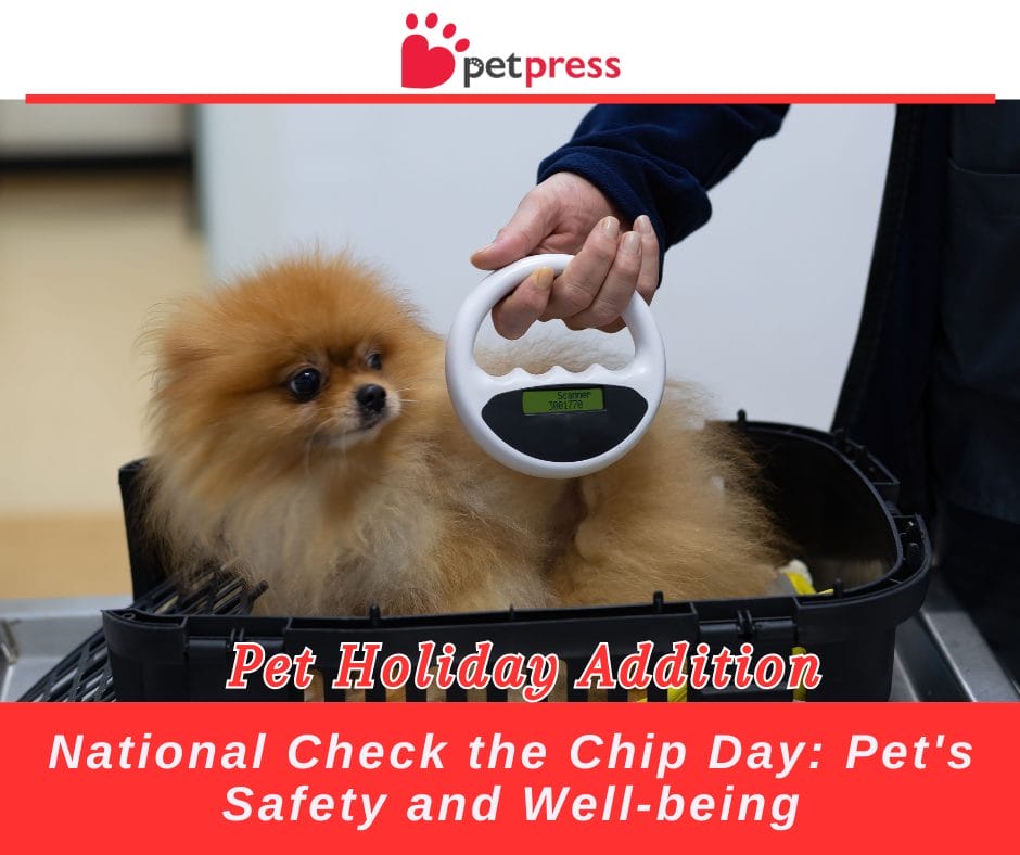 National Check the Chip Day: Pet's Safety and Well-being - PetPress