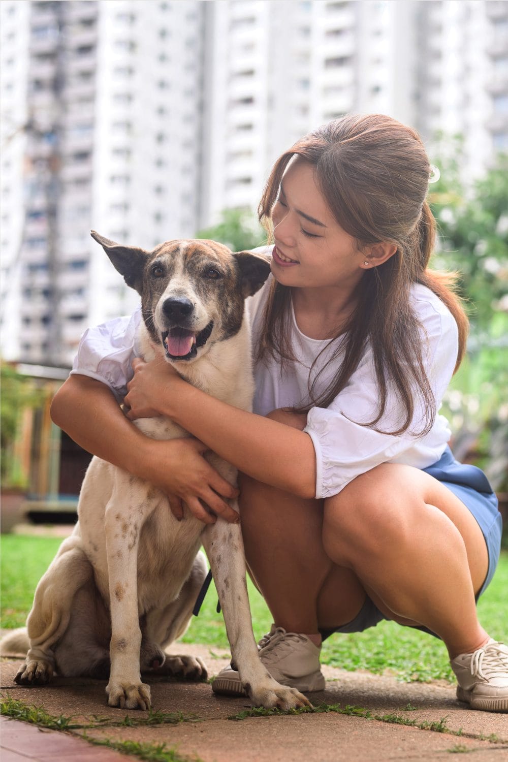 Easy Tips to Manage Pet Behavior Without Scolding - PetPress