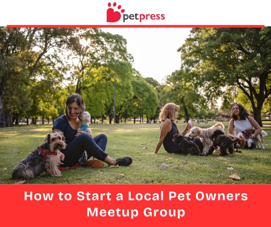 How to Start a Local Pet Owners Meetup Group - PetPress