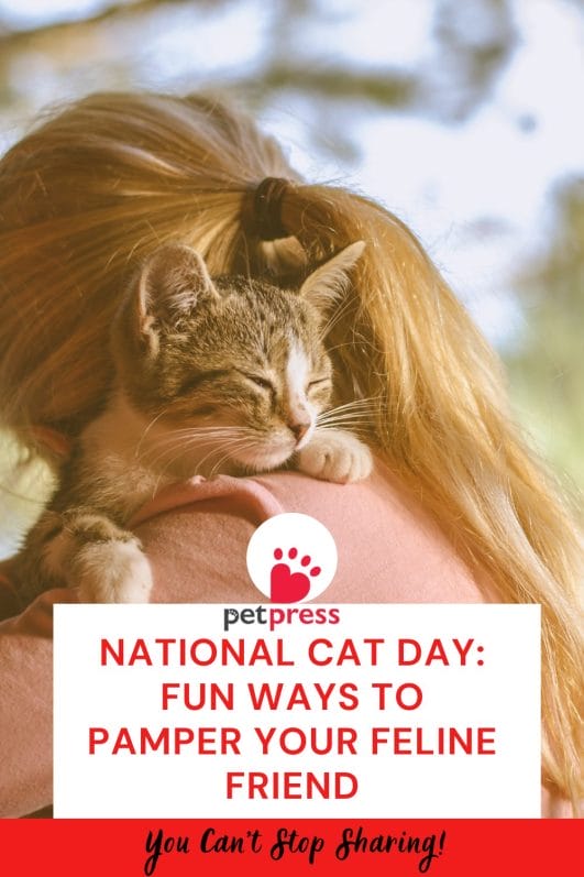 National Cat Day: Fun Ways to Pamper Your Feline Friend - PetPress