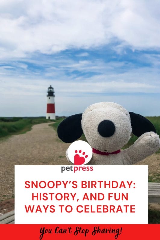 Snoopy’s Birthday: History, and Fun Ways to Celebrate - PetPress