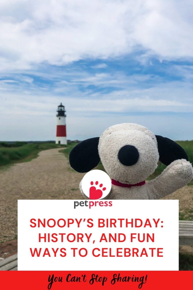 Snoopy’s Birthday: History, and Fun Ways to Celebrate - PetPress