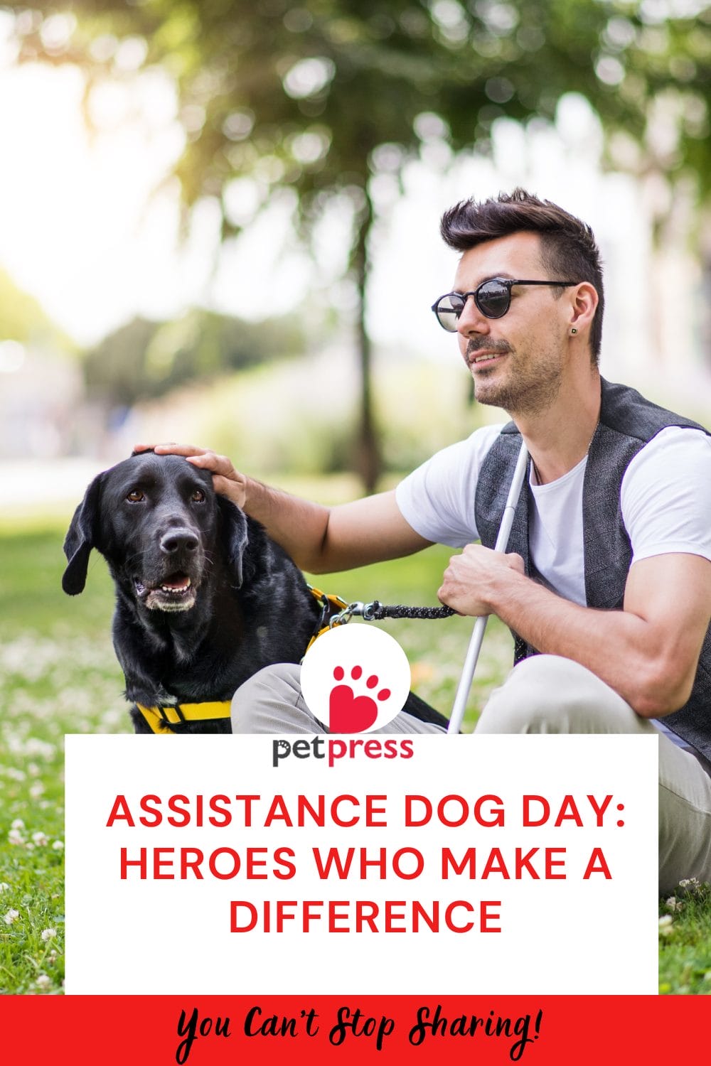 Assistance Dog Day: Heroes Who Make a Difference - PetPress