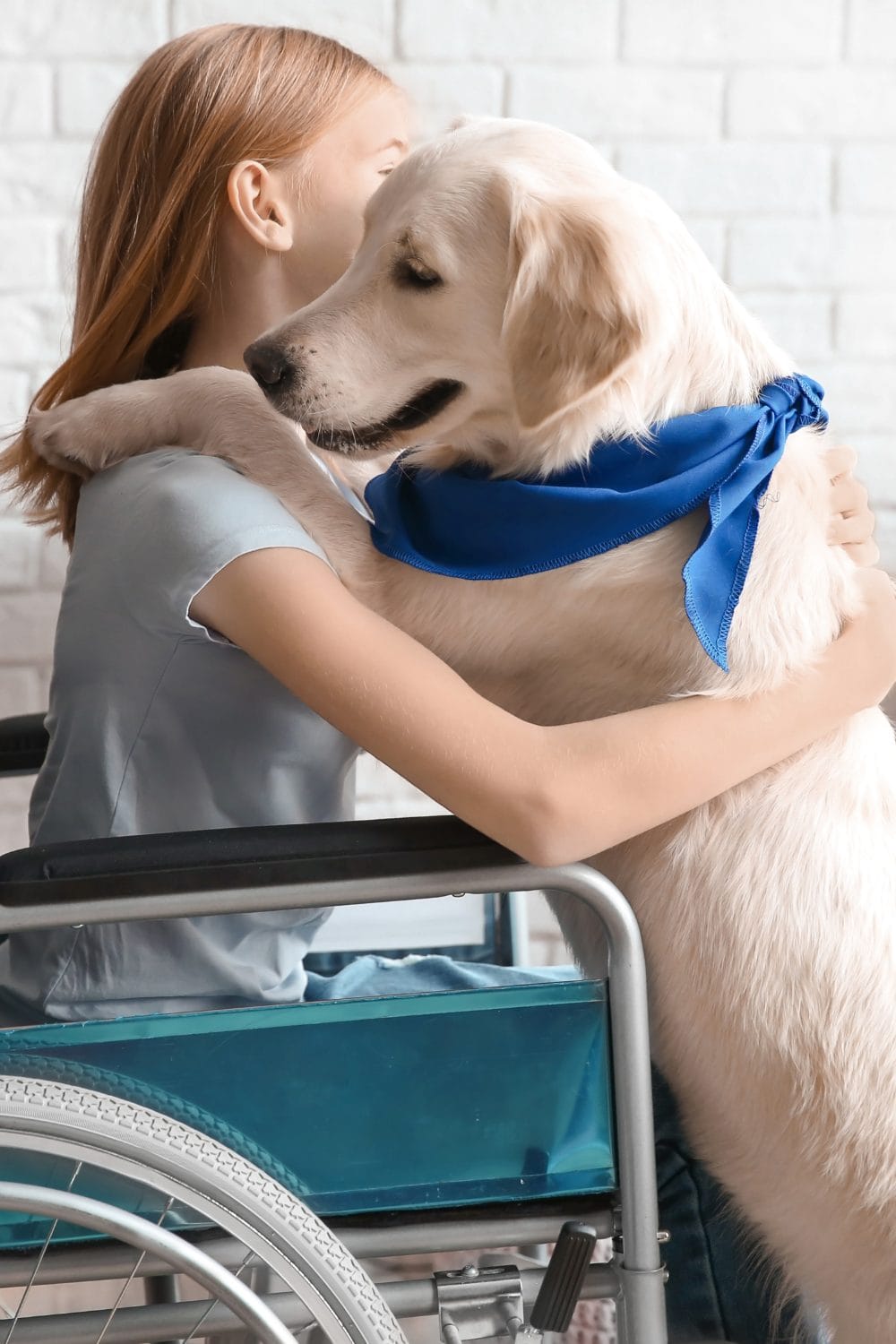 Assistance Dog Day: Heroes Who Make a Difference - PetPress