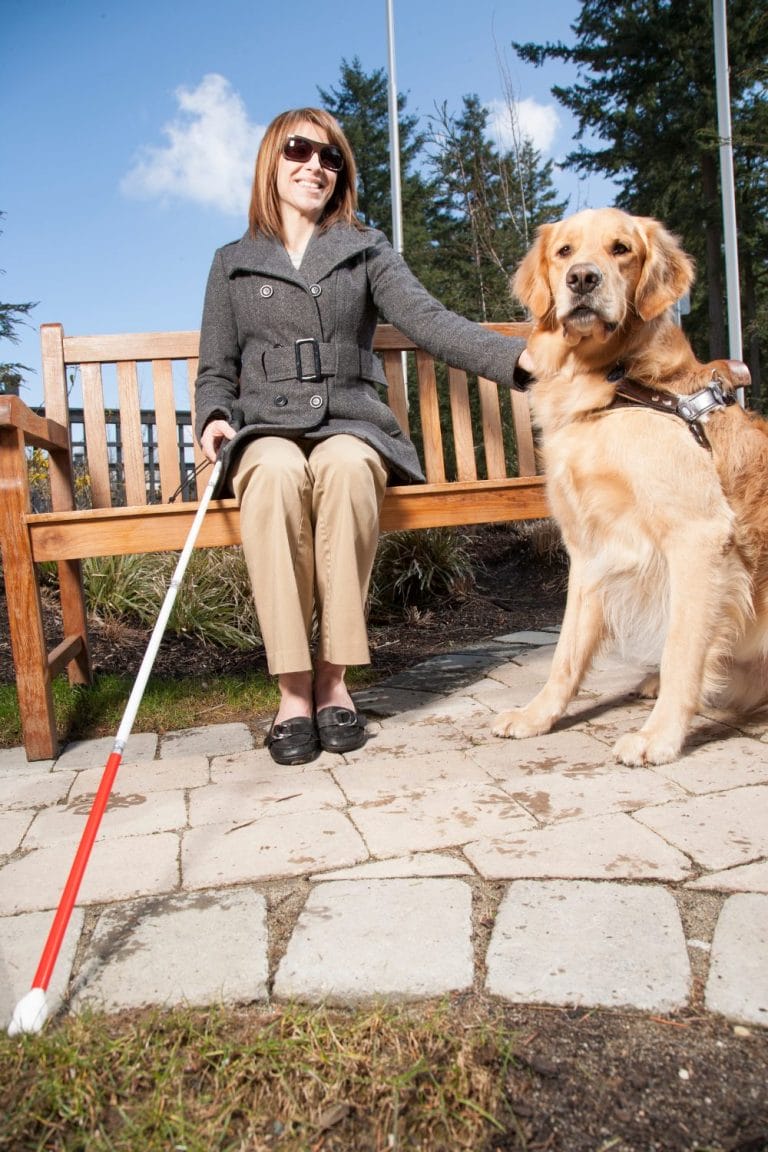 Assistance Dog Day: Heroes Who Make a Difference - PetPress