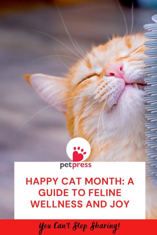 Happy Cat Month: A Guide to Feline Wellness and Joy - PetPress