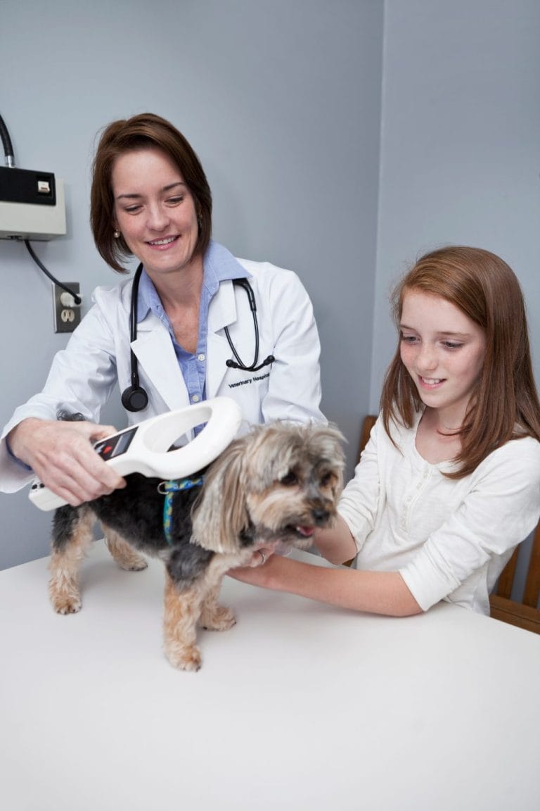 National Check the Chip Day: Pet's Safety and Well-being - PetPress