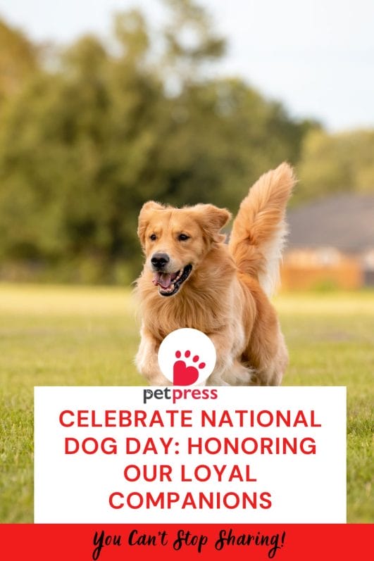 National Dog Day: Honoring Our Loyal Companions - PetPress
