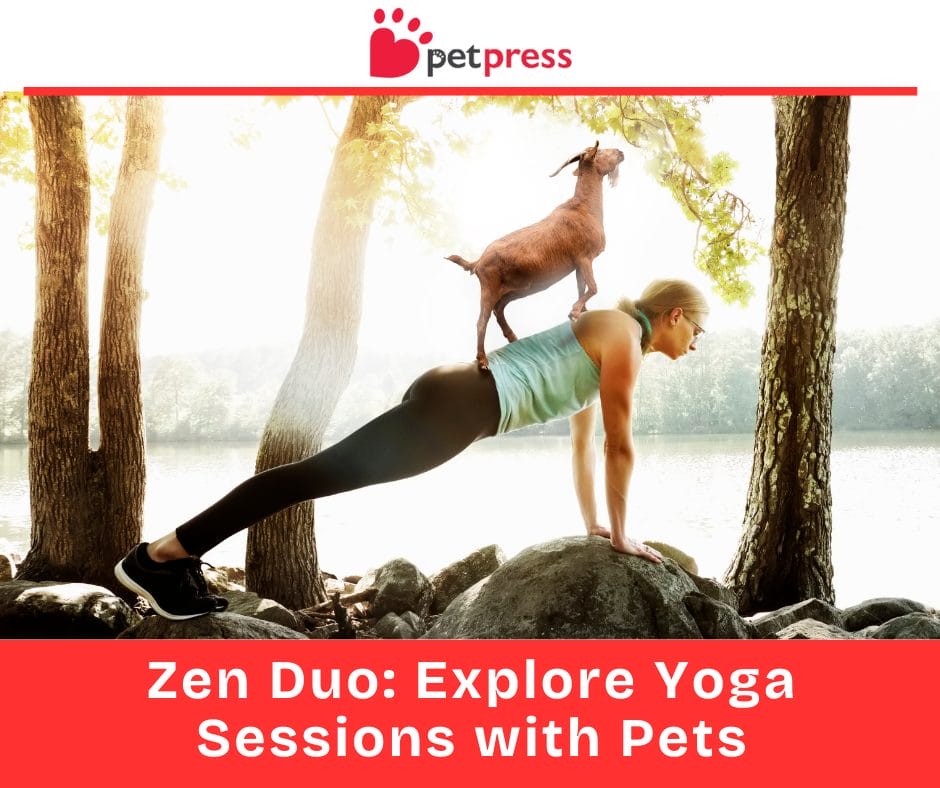 Zen Duo: Explore Yoga Sessions with Pets - PetPress