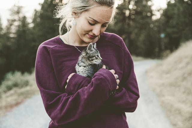 Cat Parent Guide: Essential Cat Care Tips for Beginners