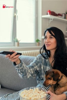 Can Pets Watch TV? What Science Says About Animal Viewers - PetPress