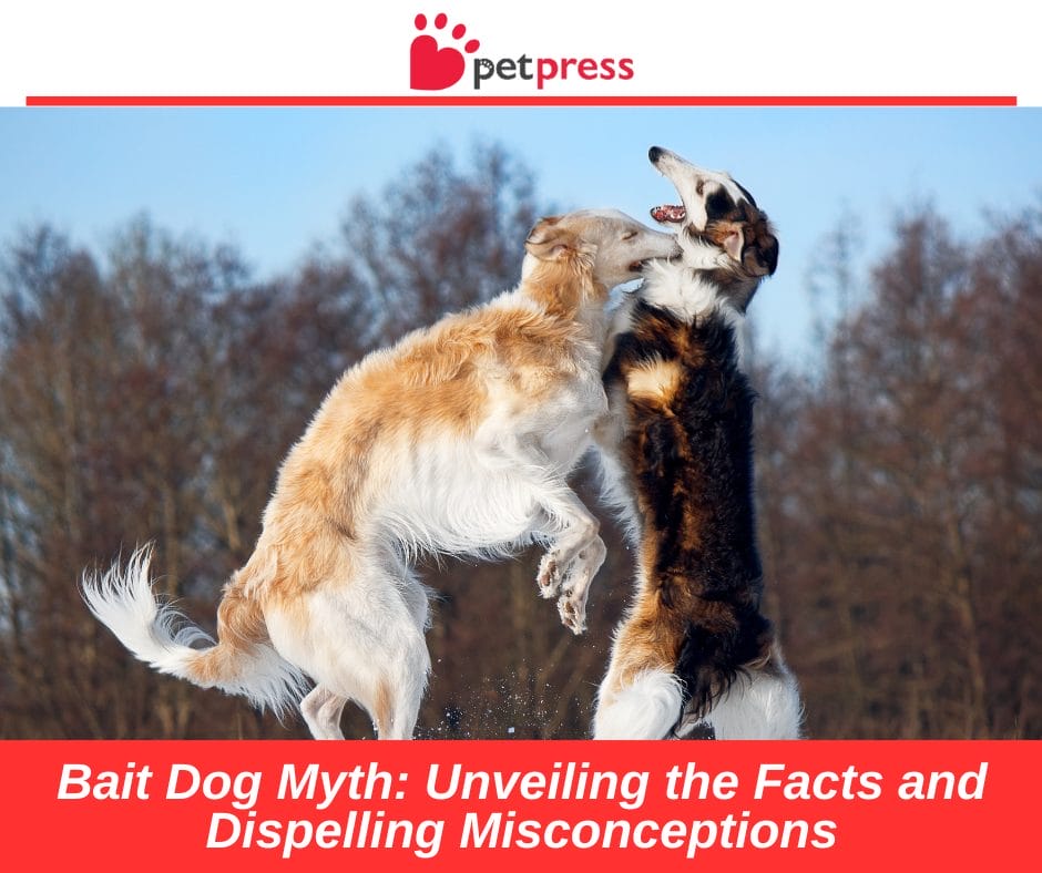 Bait Dog Myth: Unveiling the Facts and Dispelling Misconceptions - PetPress