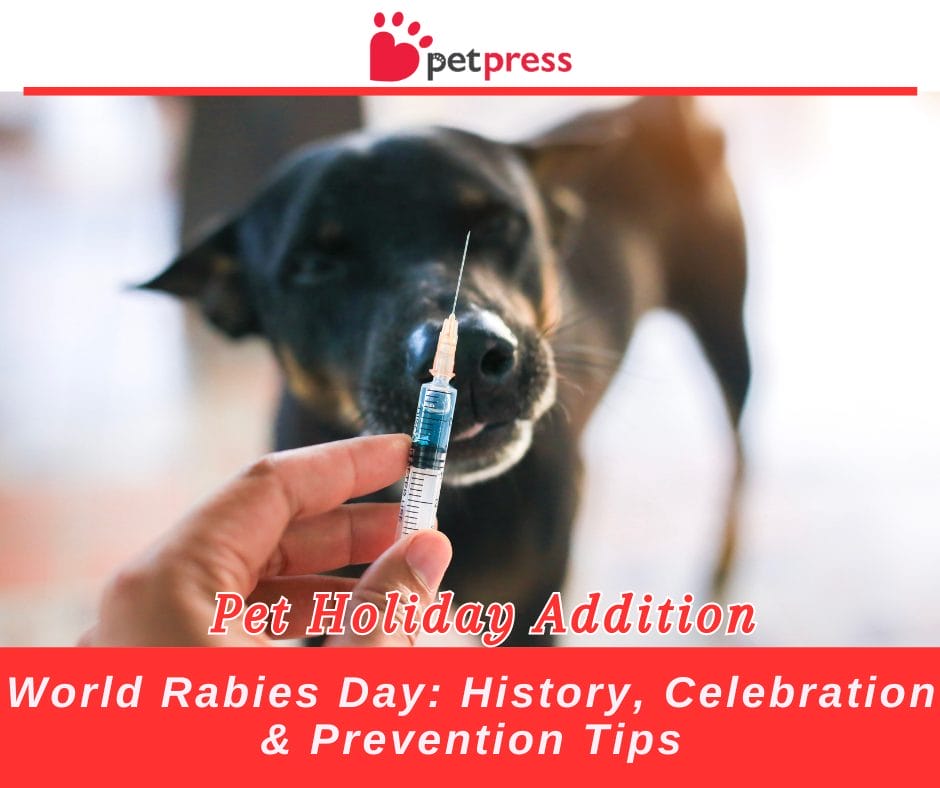 World Rabies Day: History, Celebration & Prevention Tips - PetPress