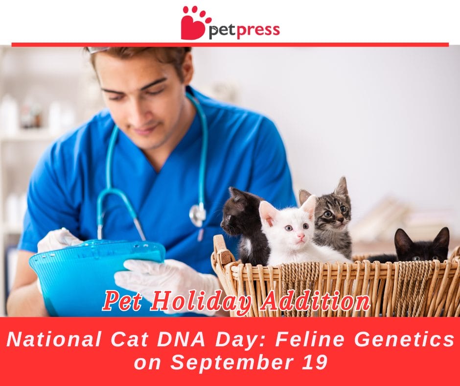 National Cat DNA Day: Feline Genetics on September 19 - PetPress