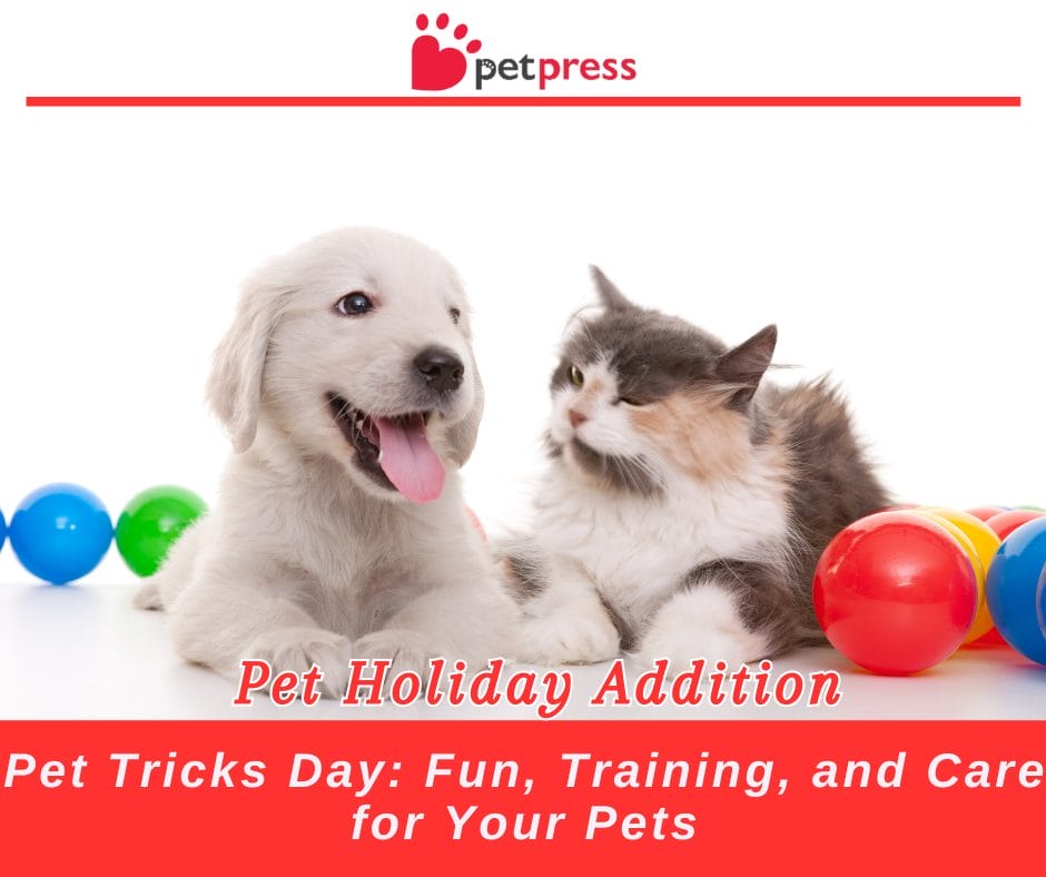 Pet Tricks Day: Fun, Training, and Care for Your Pets - PetPress