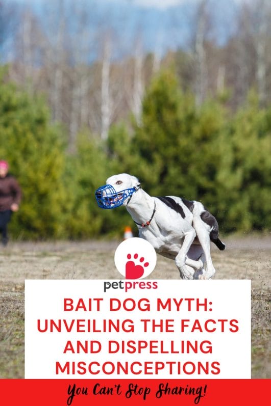 Bait Dog Myth: Unveiling the Facts and Dispelling Misconceptions - PetPress