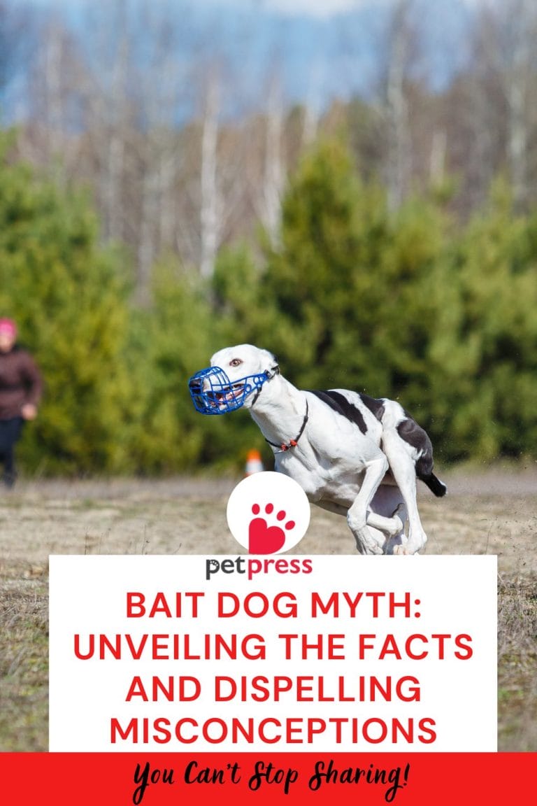 Bait Dog Myth: Unveiling the Facts and Dispelling Misconceptions - PetPress