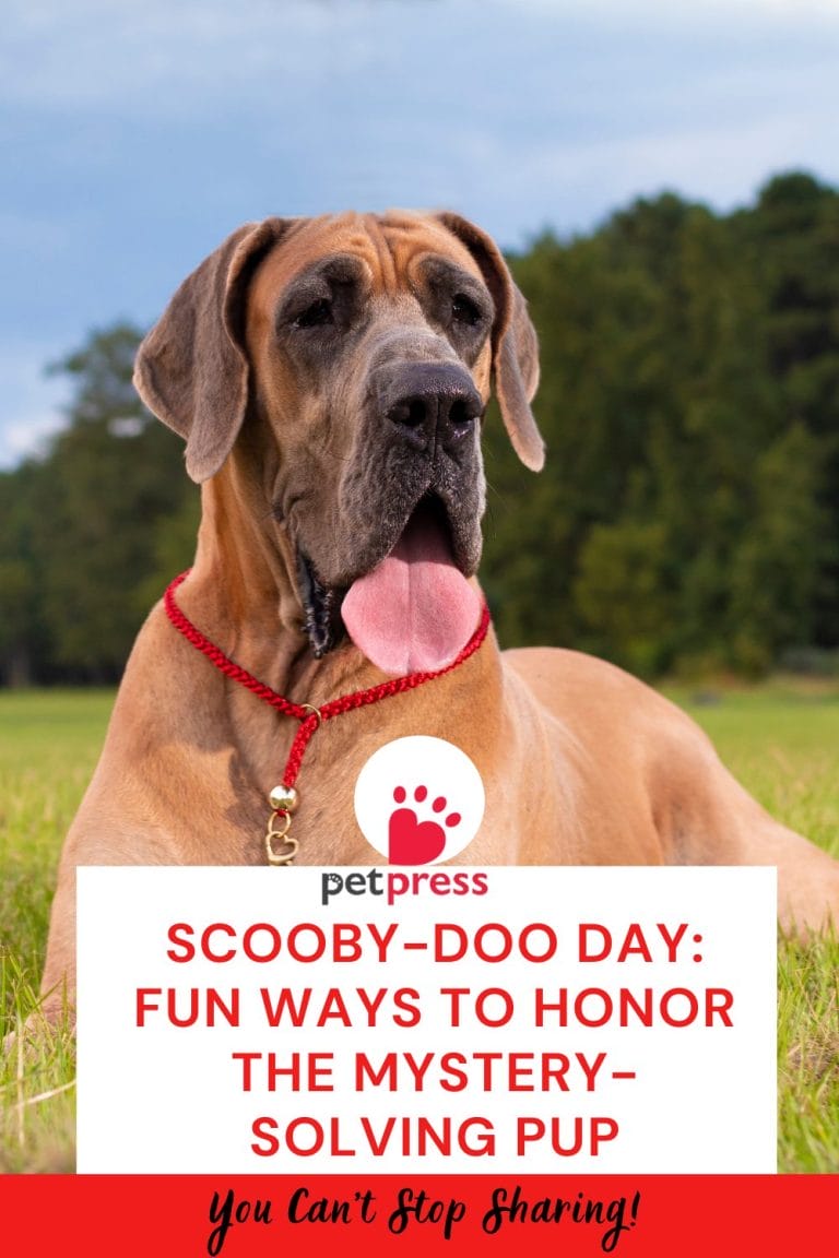 Scooby-Doo Day: Fun Ways to Honor the Mystery-Solving Pup - PetPress