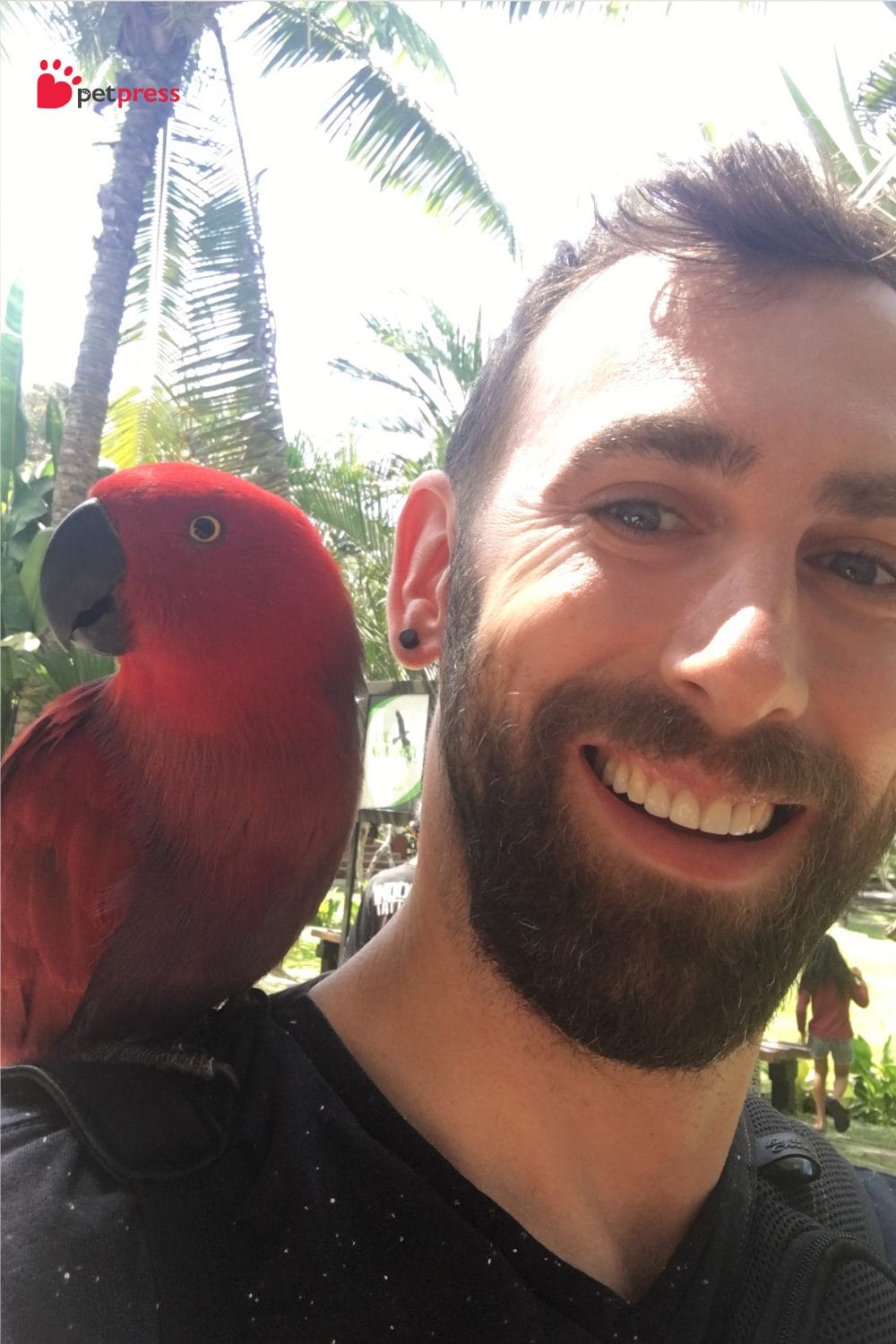 How to Take the Perfect Selfie with Your Pet - PetPress