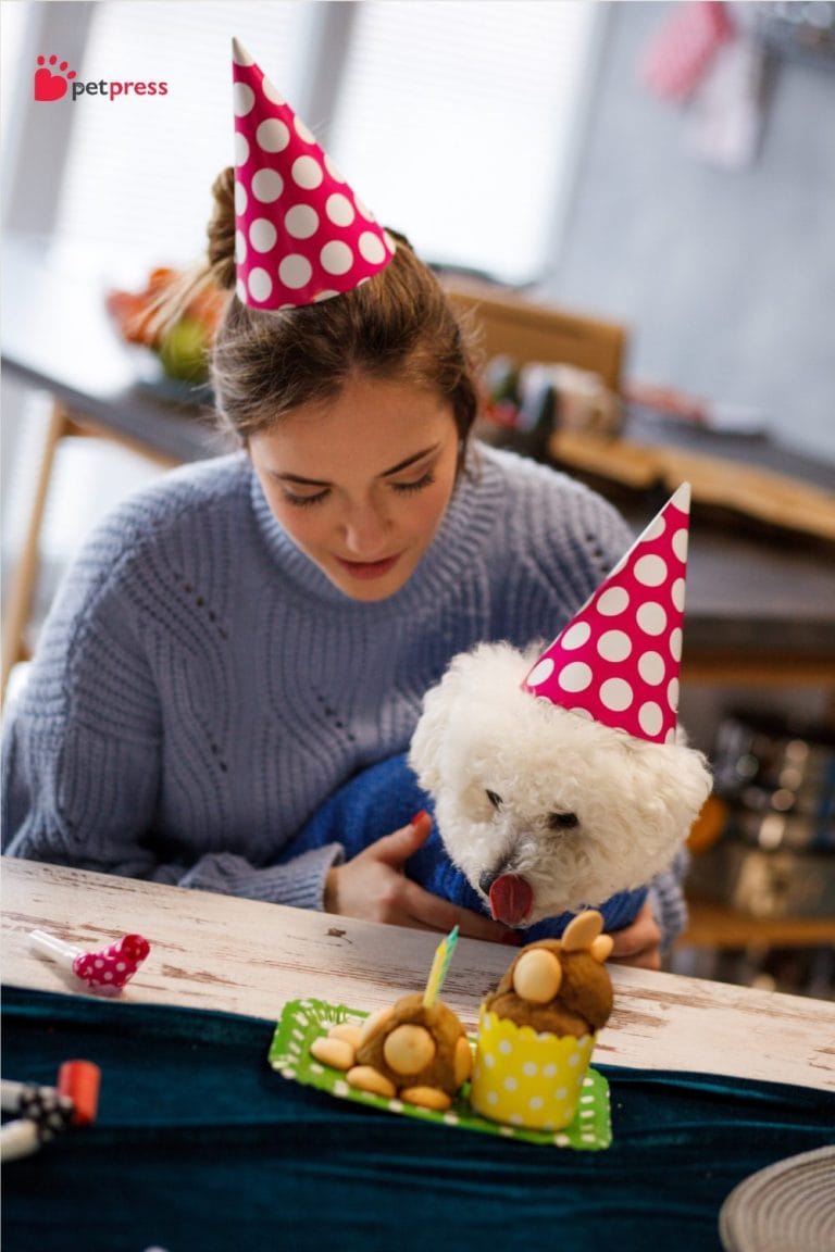 How to Throw a Birthday Party for Your Pet: 8 Fun Ways - PetPress