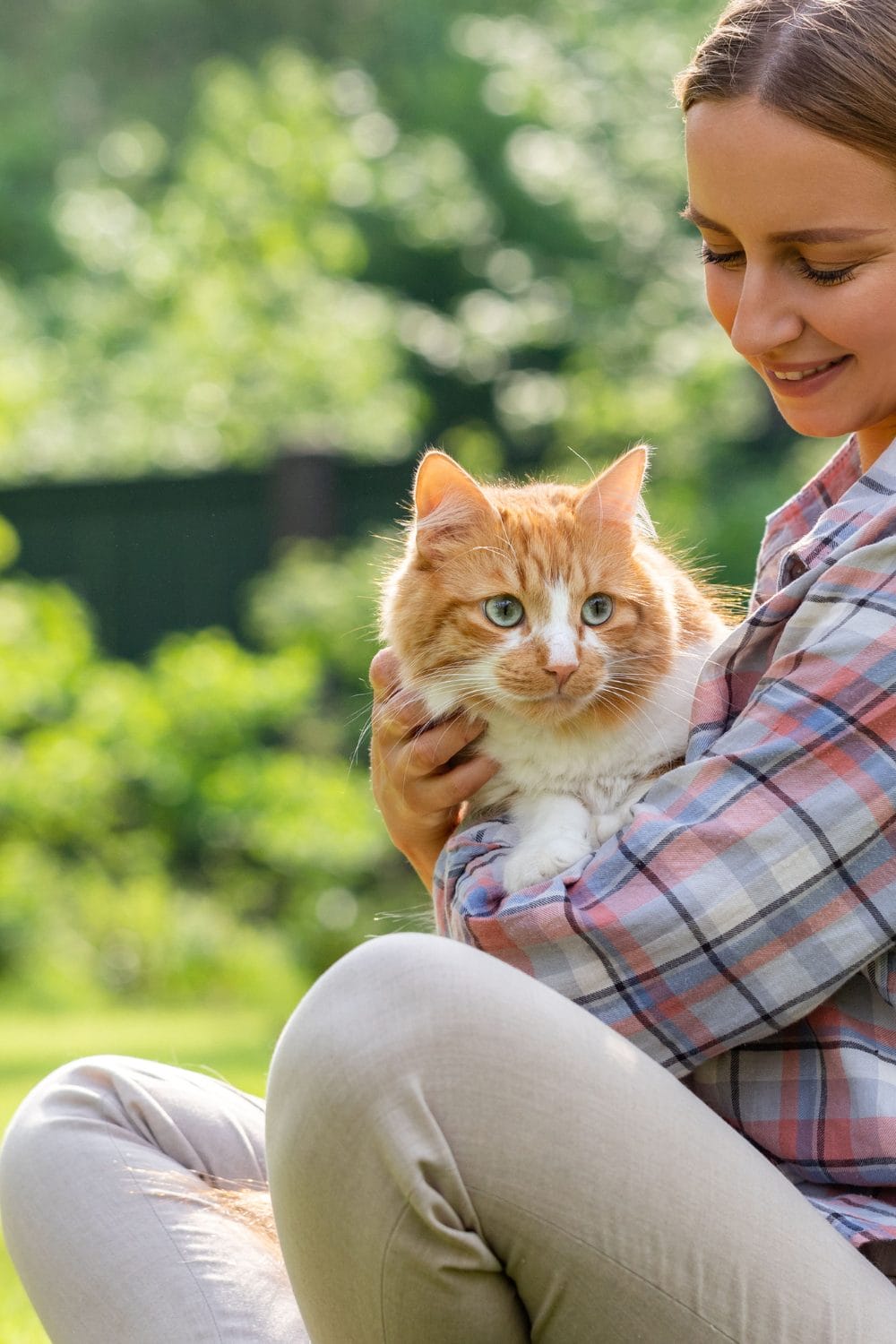Animal Pain Awareness Month: Understanding and Animal Pain - PetPress