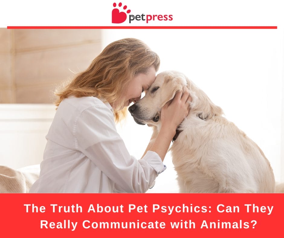 The Truth About Pet Psychics: Can They Really Communicate with Animals?