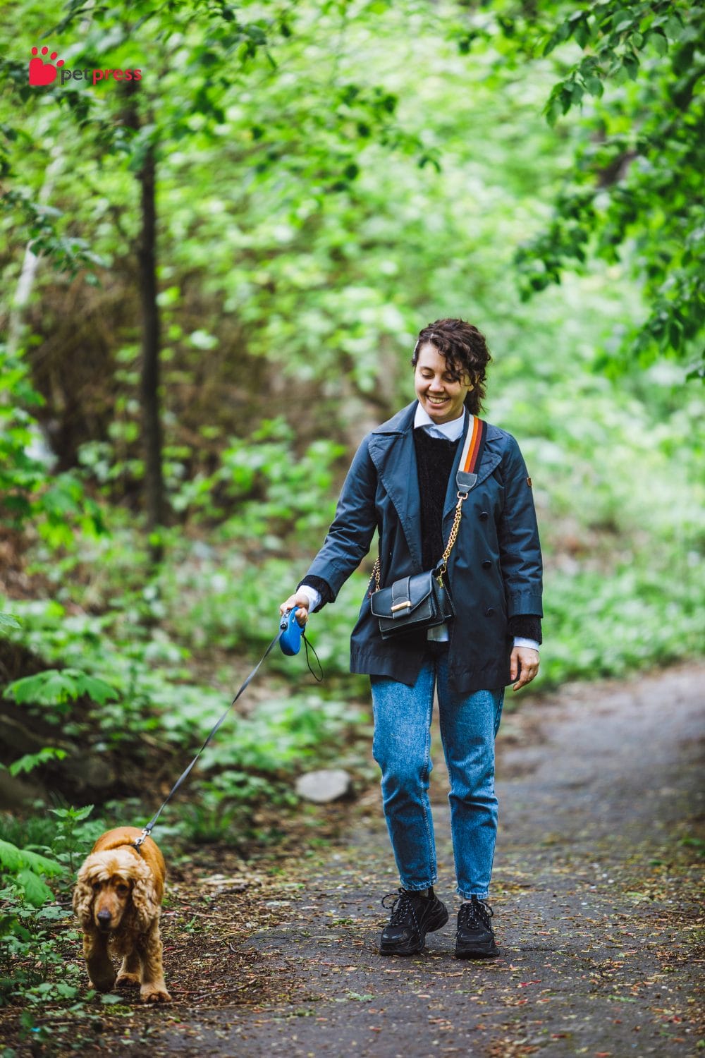 What Pets Teach Us About Love and Life - PetPress