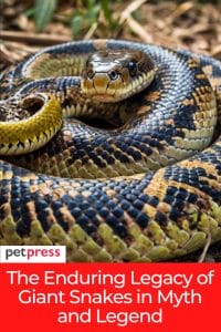 The Enduring Legacy of Giant Snakes in Myth and Legend