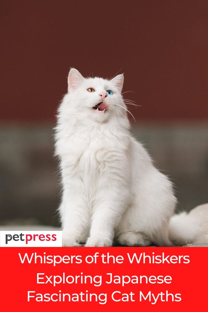 Whispers of the Whiskers: Exploring Japanese Cat Myths