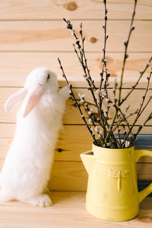 White Rabbit Myth: Cultural Significance Across the Globe