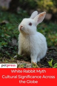 White Rabbit Myth: Cultural Significance Across the Globe