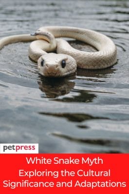 White Snake Myth: The Cultural Significance and Adaptations