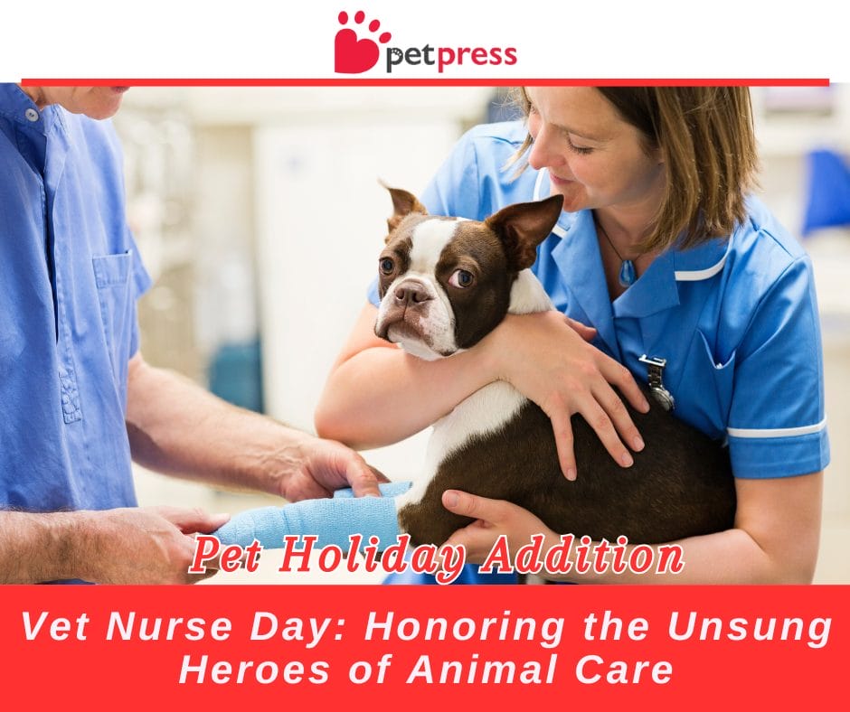 Vet Nurse Day: Honoring the Unsung Heroes of Animal Care - PetPress
