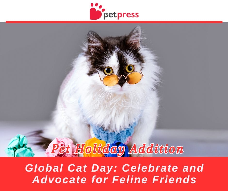 Global Cat Day: Celebrate and Advocate for Feline Friends - PetPress