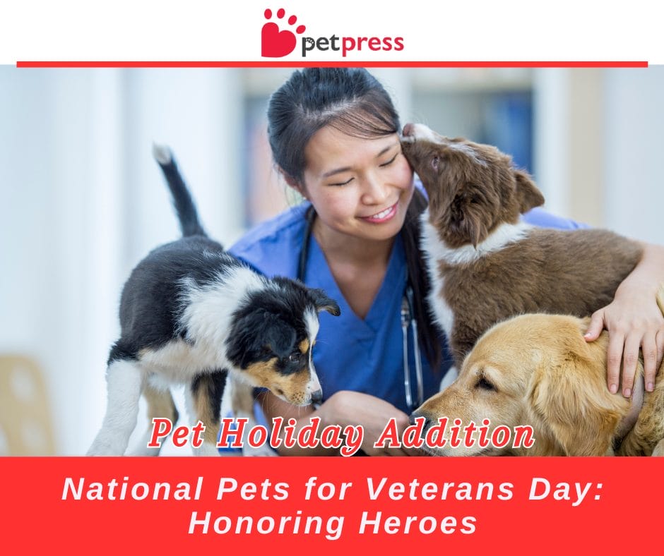 National Pets for Veterans Day: Honoring Heroes - PetPress