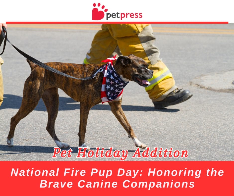 National Fire Pup Day: Honoring the Brave Canine Companions - PetPress