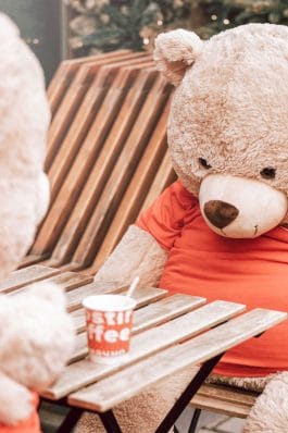 Plush Animal Lovers Day: A Celebration of Childhood Memories - PetPress