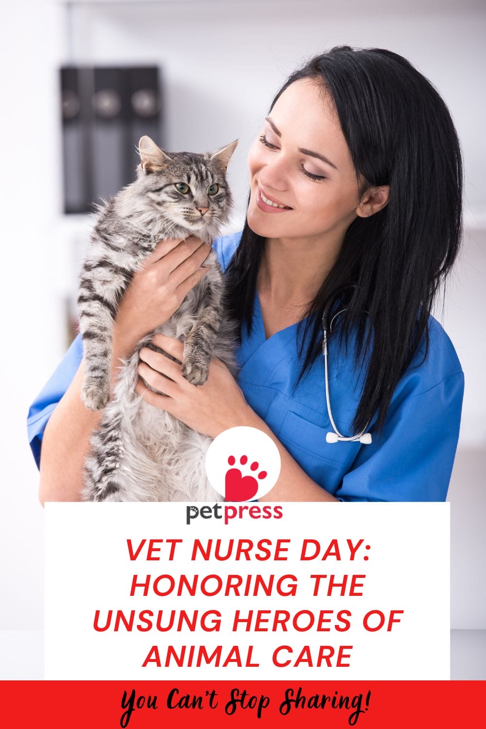 Vet Nurse Day: Honoring the Unsung Heroes of Animal Care - PetPress