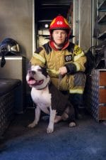 National Fire Pup Day: Honoring the Brave Canine Companions - PetPress