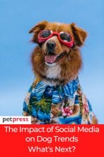 The Impact of Social Media on Dog Trends: What's Next?