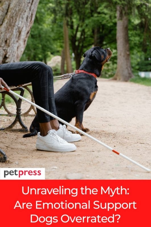 Unraveling the Myth: Are Emotional Support Dogs Overrated?
