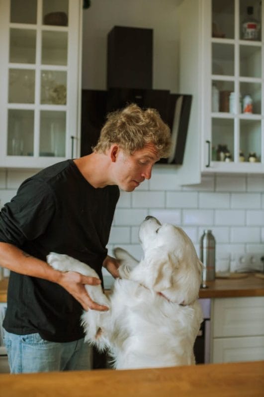 Canine Connection: Do Dogs Really Understand Human Emotions?